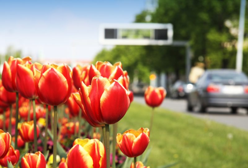 Have Liberty Auto Centers give your car a spring check up with these ...